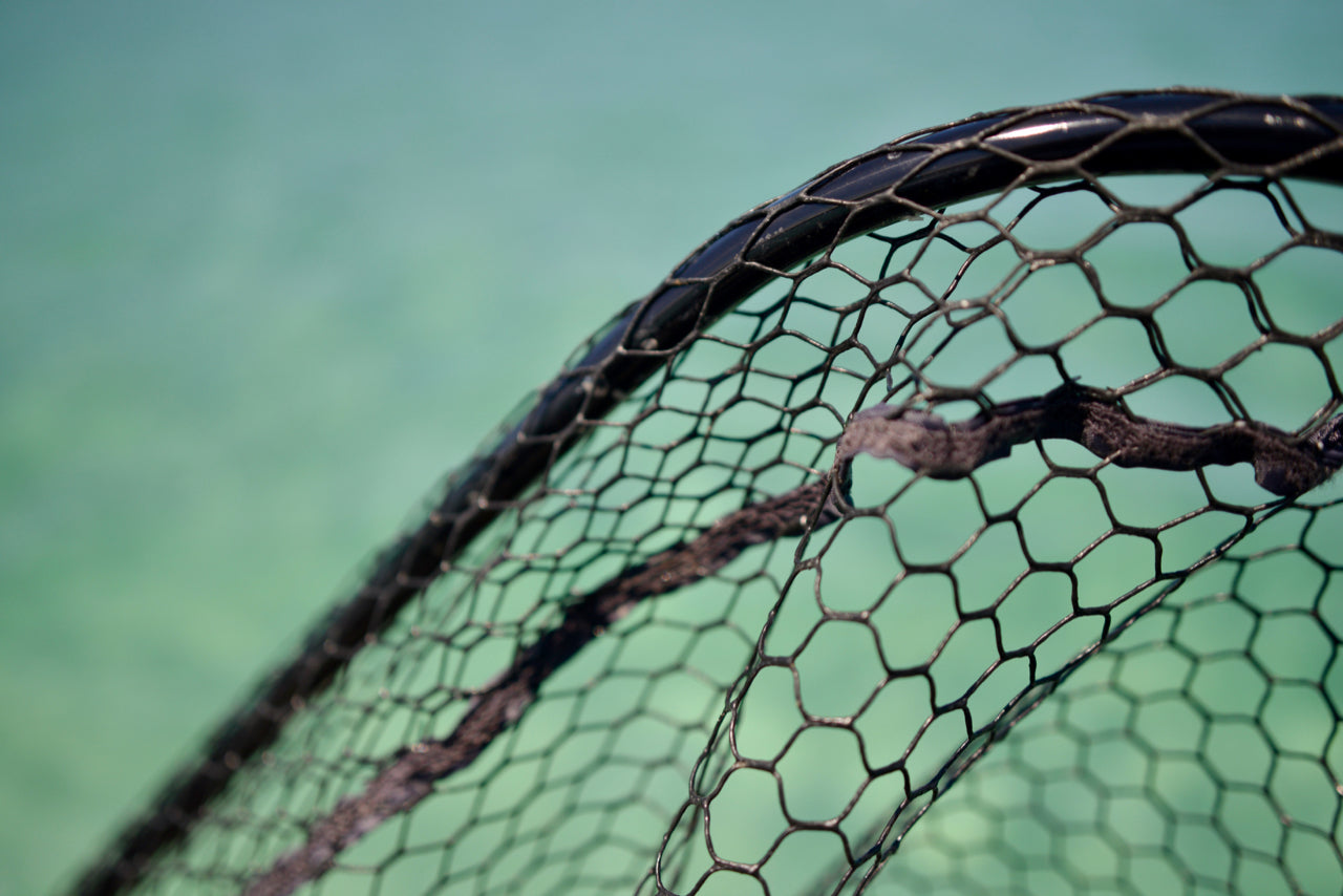 Use Guide - FinMan Fishing